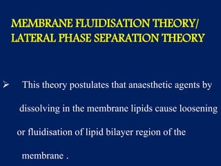THEORIES OF GENERAL ANAESTHESIA | PPTX