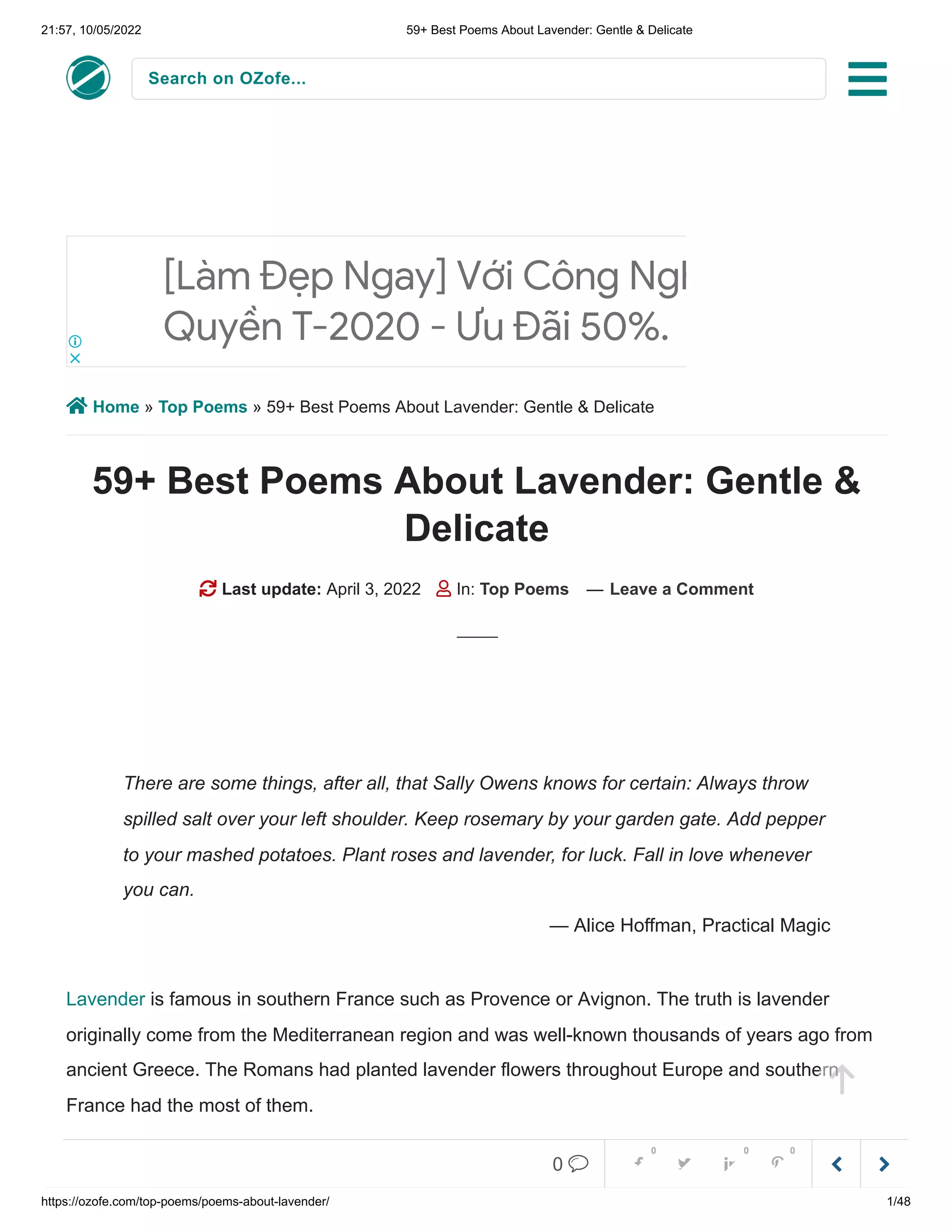 59+ Best Poems About Lavender: Gentle & Delicate | PDF