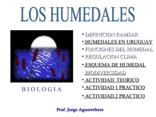 Humedales | PPT