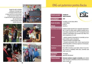 Catalog-Strong-Bacau | PDF