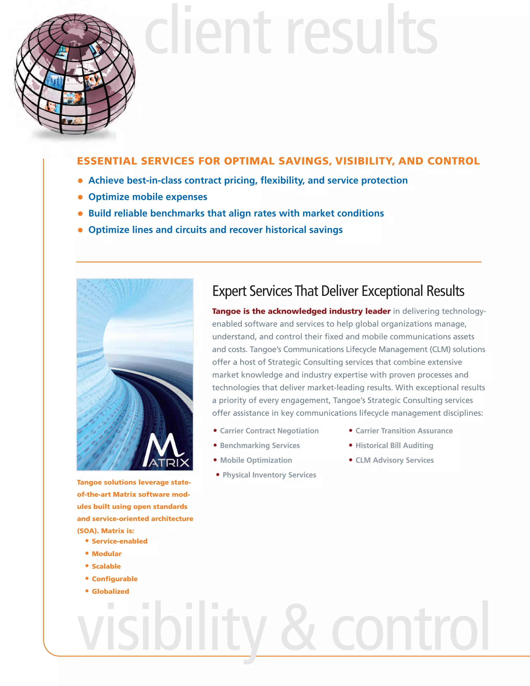 Tangoe Strategic Consulting Brochure | PDF