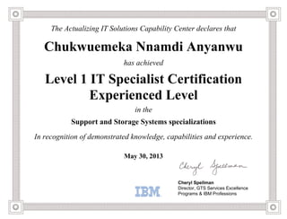 IT SPECIALIST CERTIFICATE | PDF
