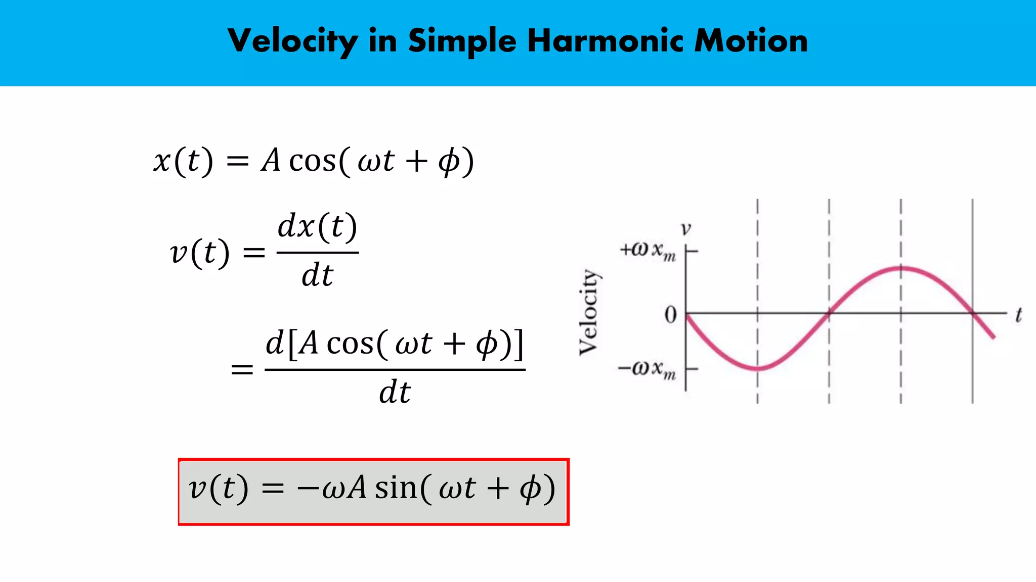 Simple Hormonic Motion Ppt