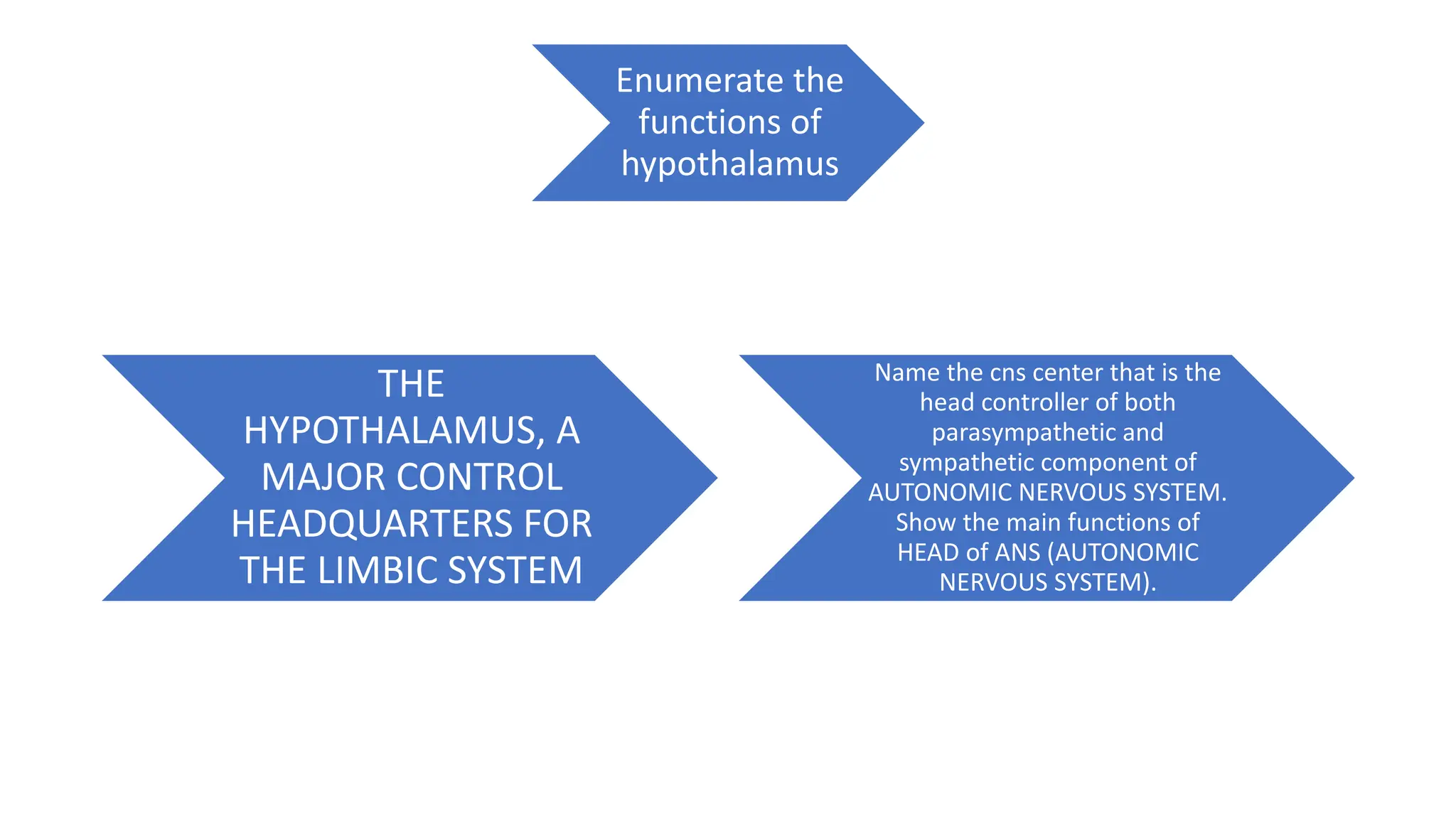 chapter guyton 59 Limbic system. limbic cortex. .pptx