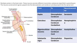 chapter guyton 59 Limbic system. limbic cortex. .pptx