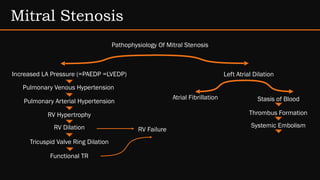 Mitral Valve anatomy and its Disorders.pptx