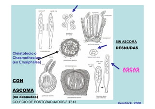 5 a 1-1-presentacion-cap-iii | PDF