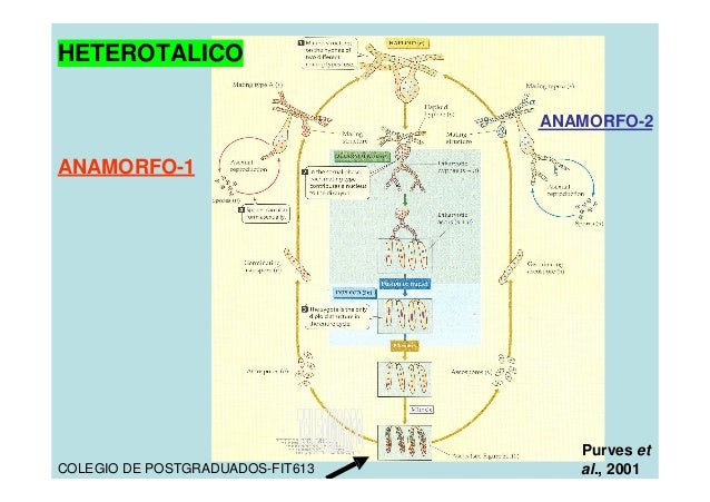 5 a 1-1-presentacion-cap-iii