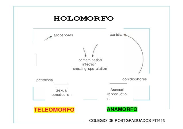 5 a 1-1-presentacion-cap-iii