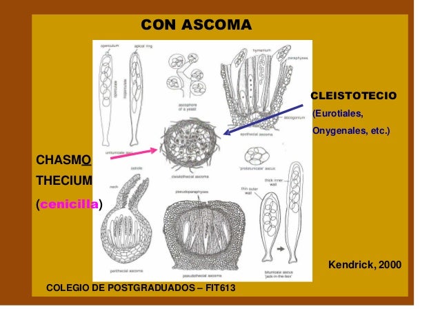 5 a 1-2-presentacion-cap-iii