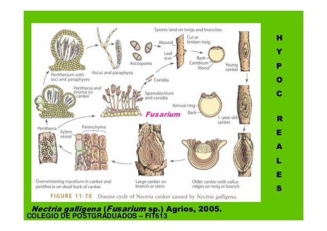 5 a 1-4-presentacion-cap-iii