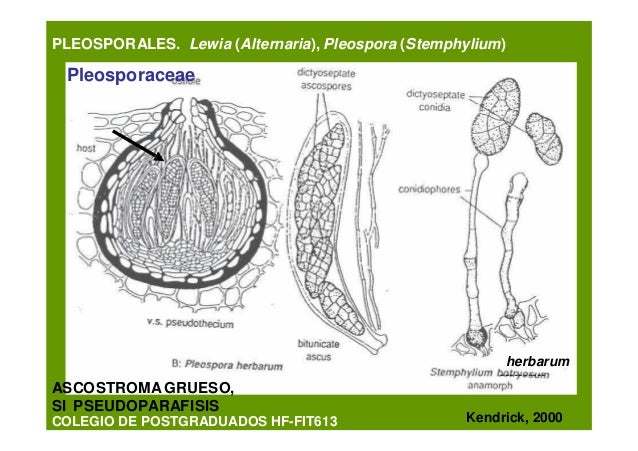 5 a 1-5-presentacion-cap-iii