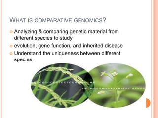 What is comparative genomics | PPTX