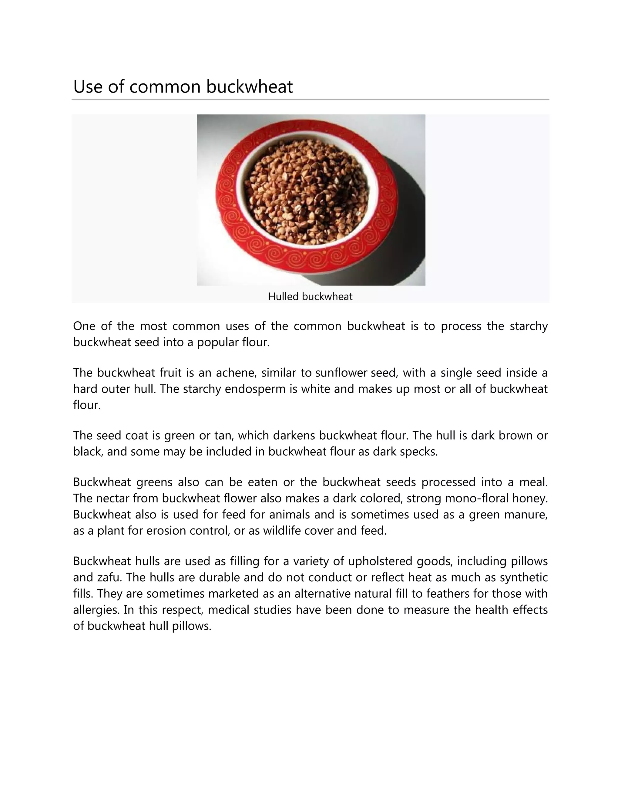 5A.Buckwheat.pdf