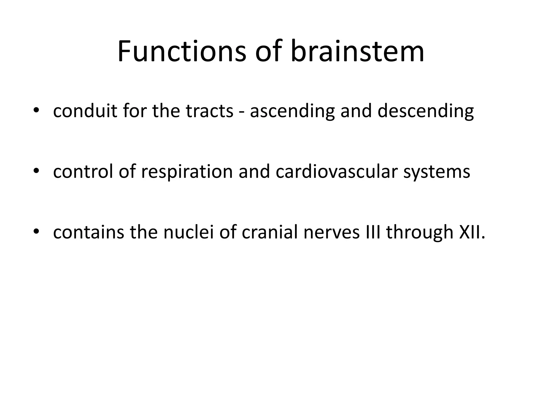 5A. BRAINSTEM AND CRANIAL NERVES-1.ppt