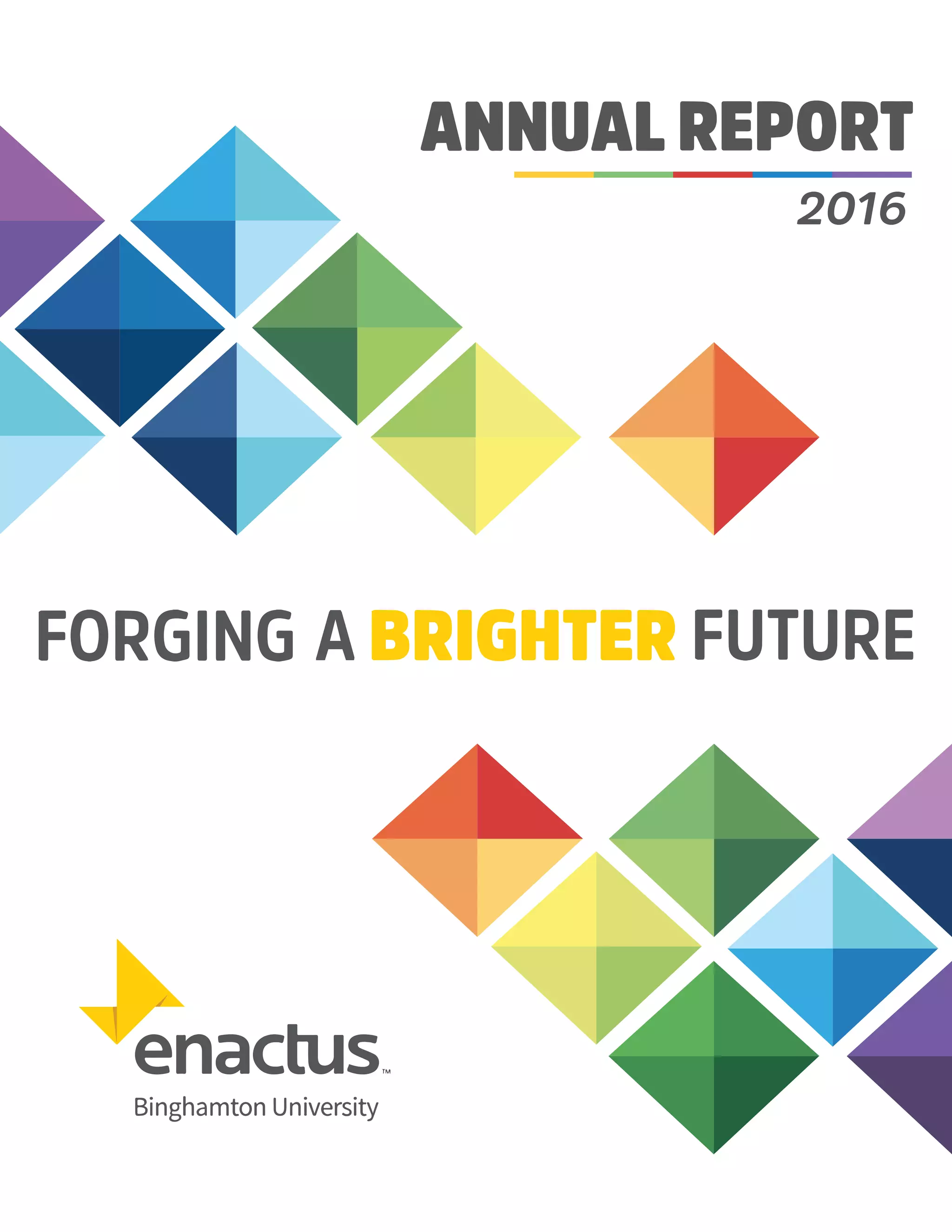 Enactus Annual Projects Report | PDF