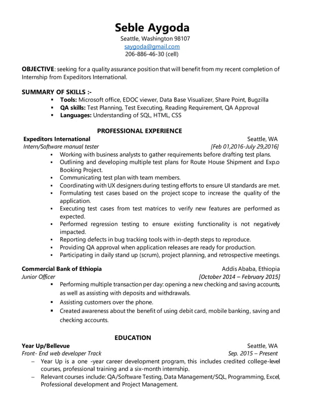 Seble Resume | PDF