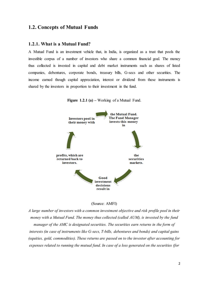 Mutual Fund Report(for reference) | DOCX