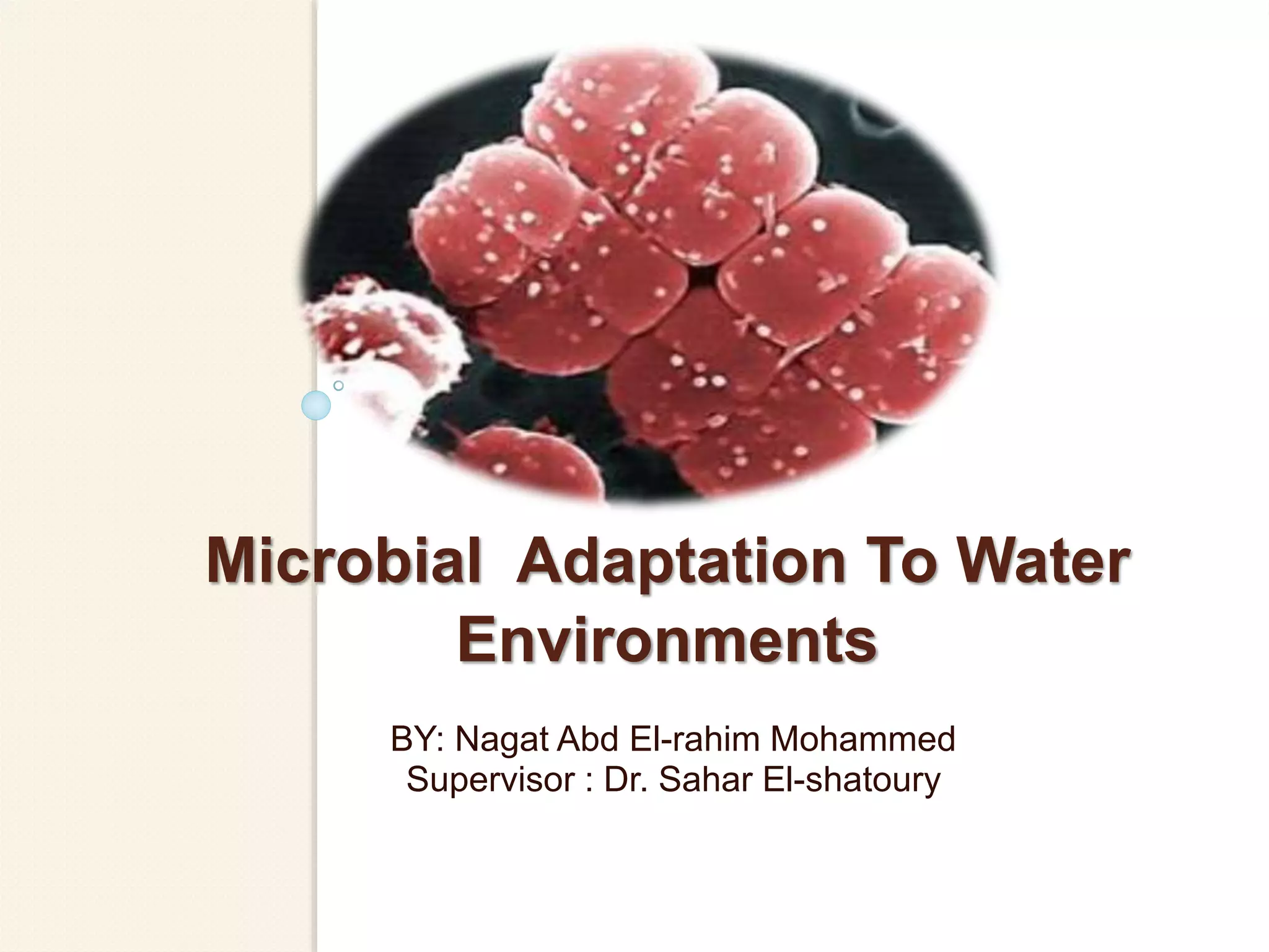 Microbial Adaptation To Water Environments | PPTX
