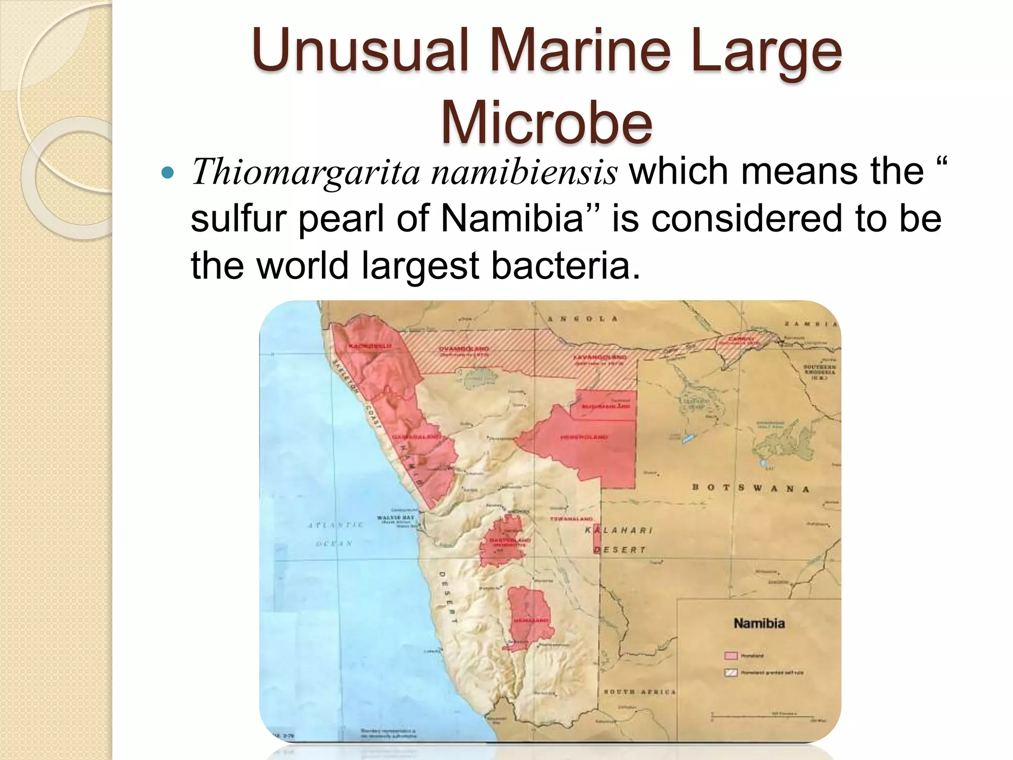 Microbial Adaptation To Water Environments | PPTX