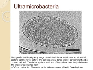 Microbial Adaptation To Water Environments | PPTX