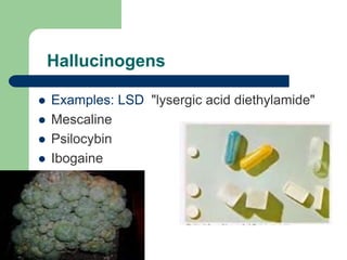 Drug abuse awareness | PDF