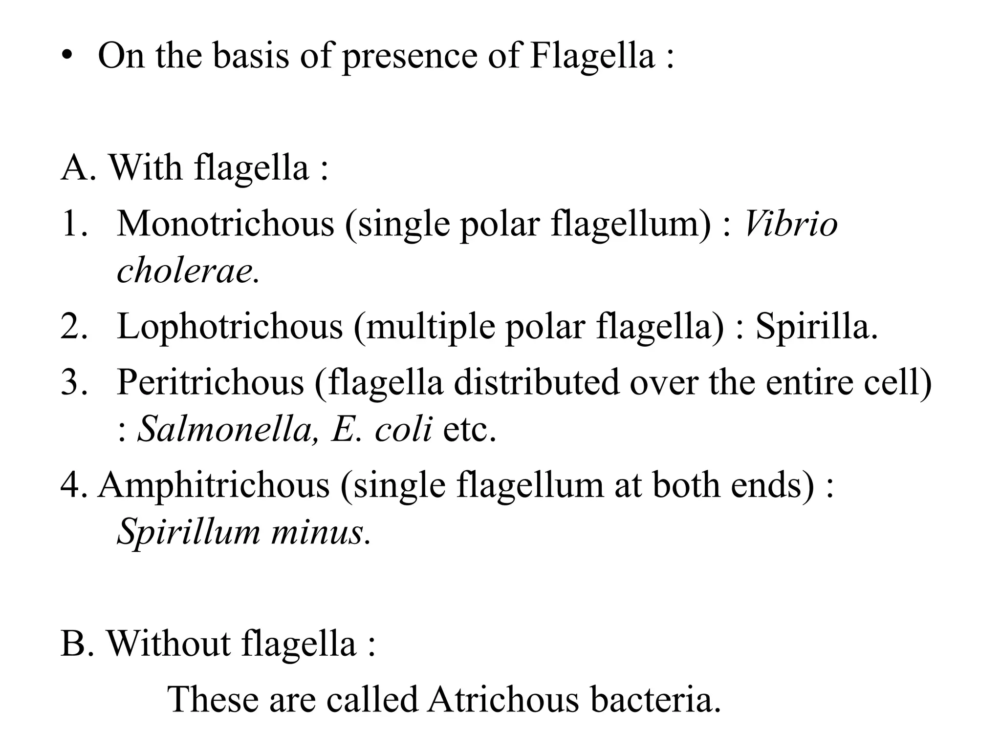 CLASSIFICATION OF BACTERIA & IT’S STRUCTURE | PPTX