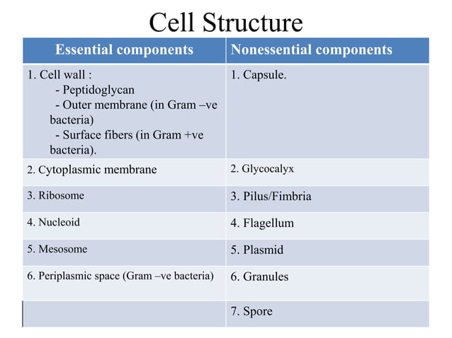 CLASSIFICATION OF BACTERIA & IT’S STRUCTURE | PPT