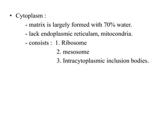 CLASSIFICATION OF BACTERIA & IT’S STRUCTURE | PPTX