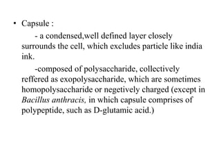 CLASSIFICATION OF BACTERIA & IT’S STRUCTURE | PPTX