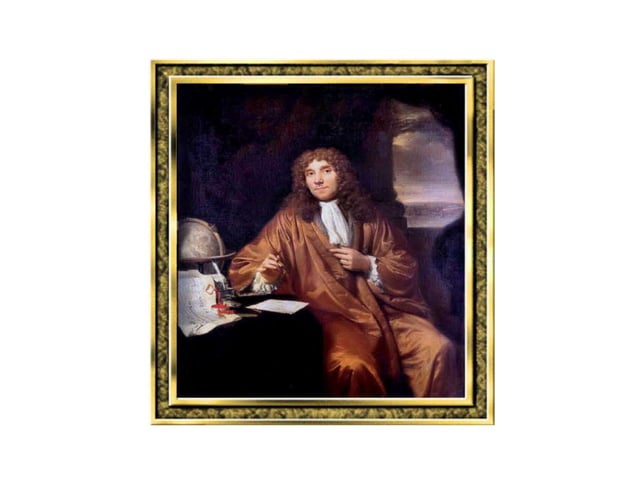 CLASSIFICATION OF BACTERIA & IT’S STRUCTURE | PPT