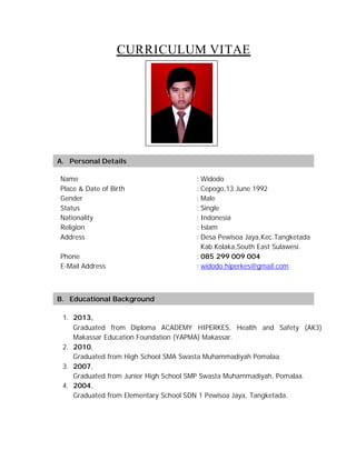 CV widodo english | PDF
