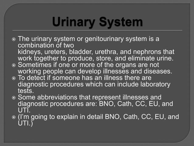 5 Abbreviations Regarding Urinary System | PPTX | Medical Tests ...