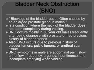 5 Abbreviations Regarding Urinary System | PPTX