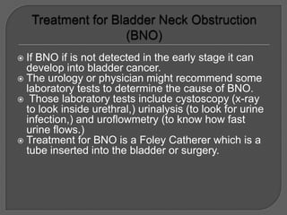 5 Abbreviations Regarding Urinary System | PPTX