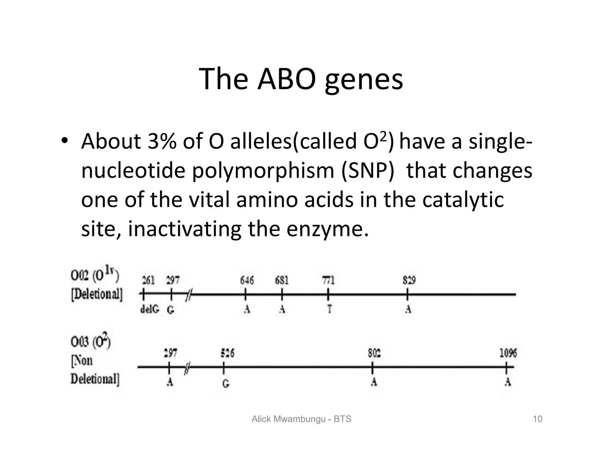 ABO Blood Group system | PPT