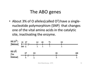 ABO Blood Group system | PDF