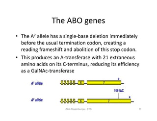 ABO Blood Group system | PDF