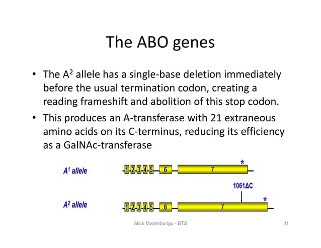 ABO Blood Group system | PPT