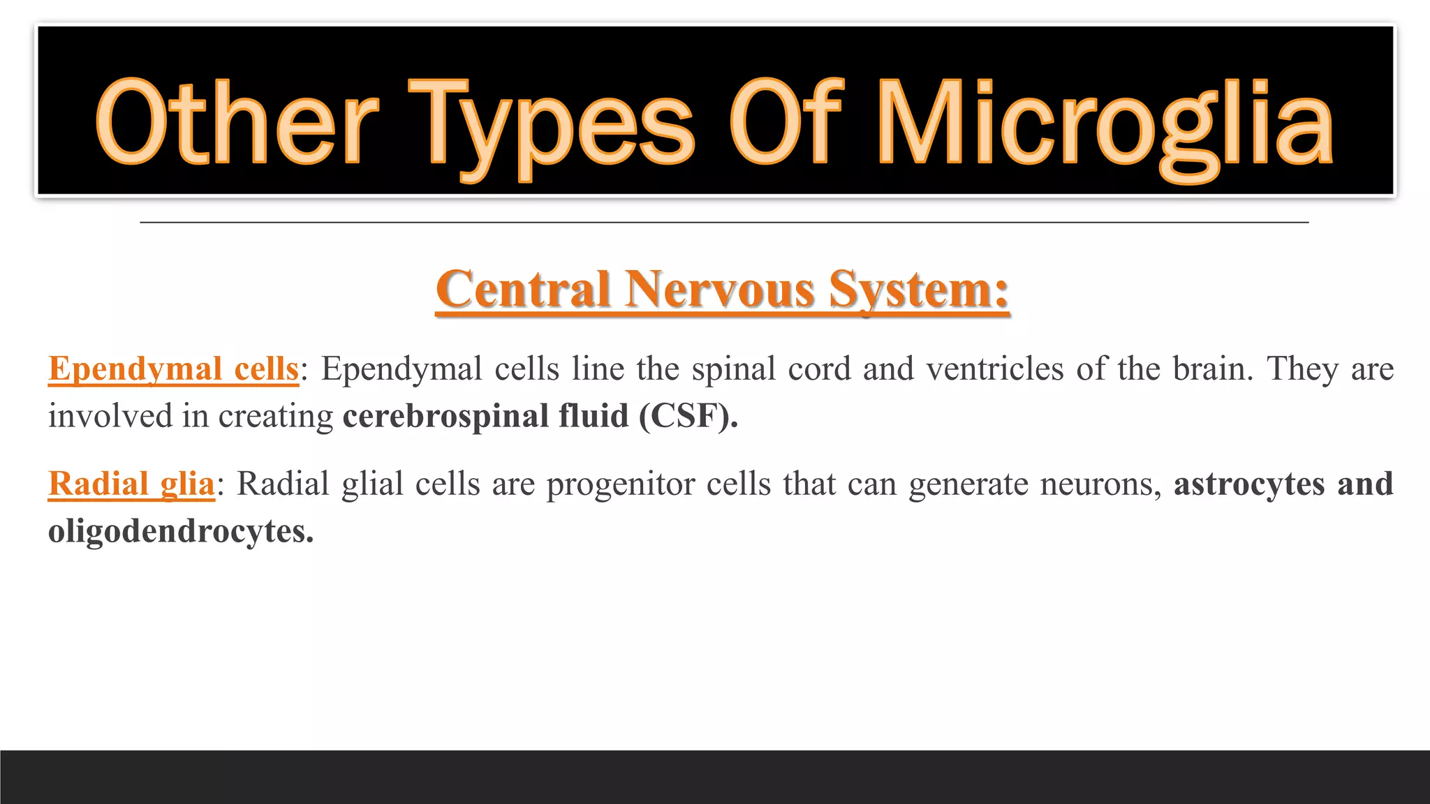 About Neuron, Glia cells and Neurotransmitters.pdf