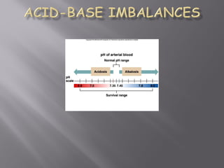 Human acid base imbalance and homeostasis | PPT