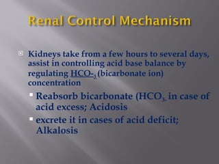 Human acid base imbalance and homeostasis | PPT