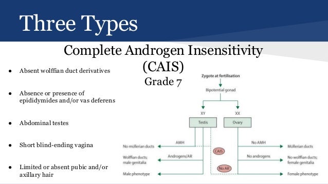 Androgen Insensitivity