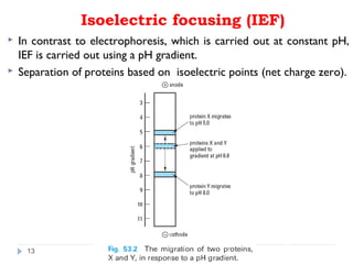 Advance electroscopes | PPT