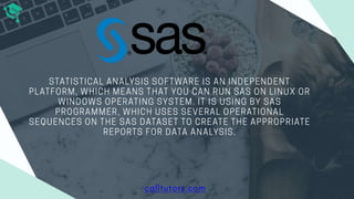 5 advantages of sas software | PPT