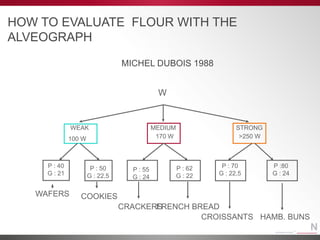 Alveolab Applications Wheat flour Analysis P L G W | PDF