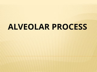 ALVEOLAR BONE, composition, functions.pptx | Bone and Joint Conditions ...