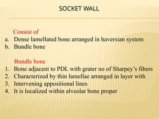 ALVEOLAR BONE, composition, functions.pptx