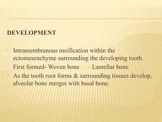 ALVEOLAR BONE, composition, functions.pptx