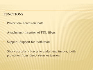 5 ALVEOLAR BONE. composition, functionspptx | PPTX